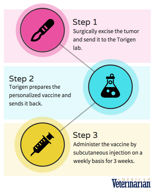 Puppy Up Foundation | Novel Cancer Vaccine Uses Animal’s Own Tumor Cells