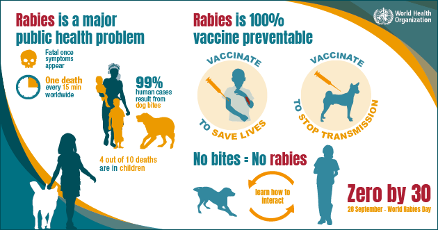Puppy Up Foundation | September 28 is World Rabies Day