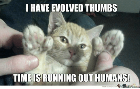 Puppy Up Foundation | Happy ‘What if Dogs and Cats Had Opposable Thumbs ...