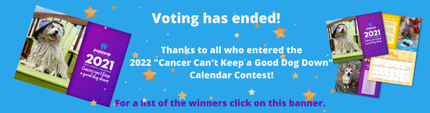 Puppy Up Foundation | PuppyUp.org - Cancer. Touches. Everyone.